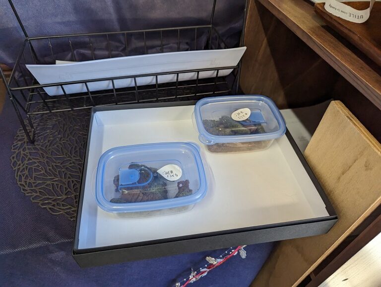 国富町本庄にtea stand Rin(八女茶スイーツ専門店 546工房)が新規オープン