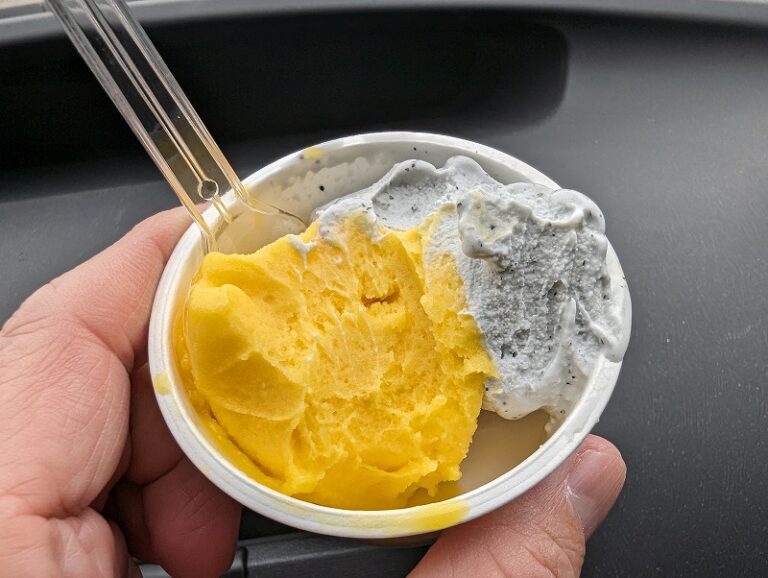 【IRODORU.】三股町に新規オープンしたジェラート屋さんでマンゴーとみまたん黒ゴマのダブルを注文